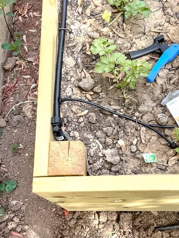 EASY Basic Drip System for Watering Raised Garden Beds - Crystel ...