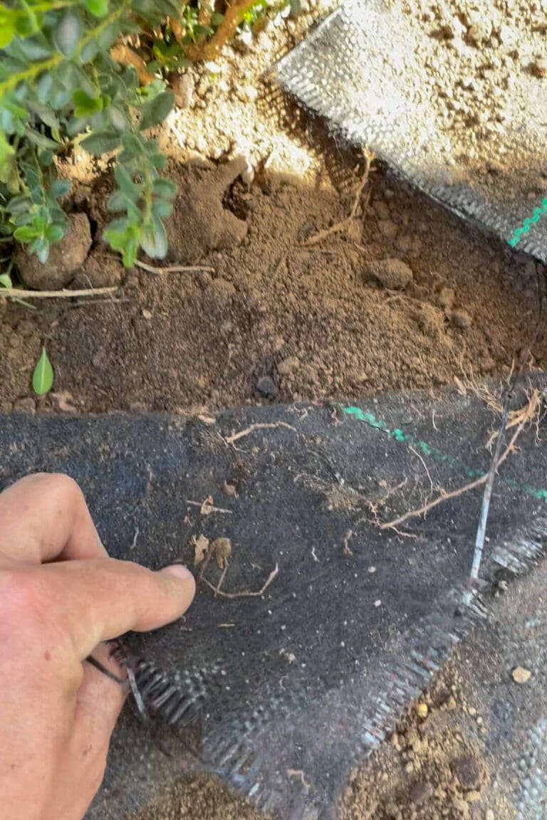 How to Make a Flower Bed Like a Pro | Crystel Montenegro Home