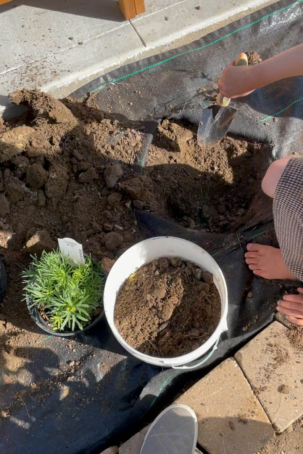 How to Make a Flower Bed Like a Pro | Crystel Montenegro Home