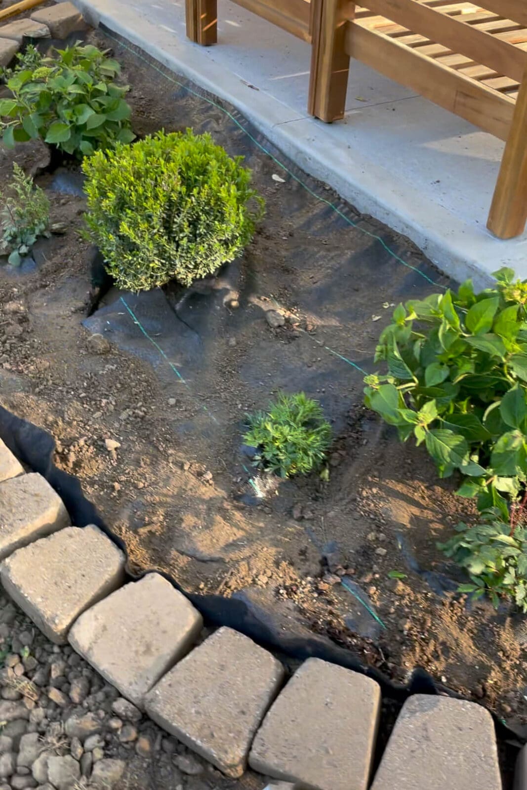 How to Make a Flower Bed Like a Pro | Crystel Montenegro Home