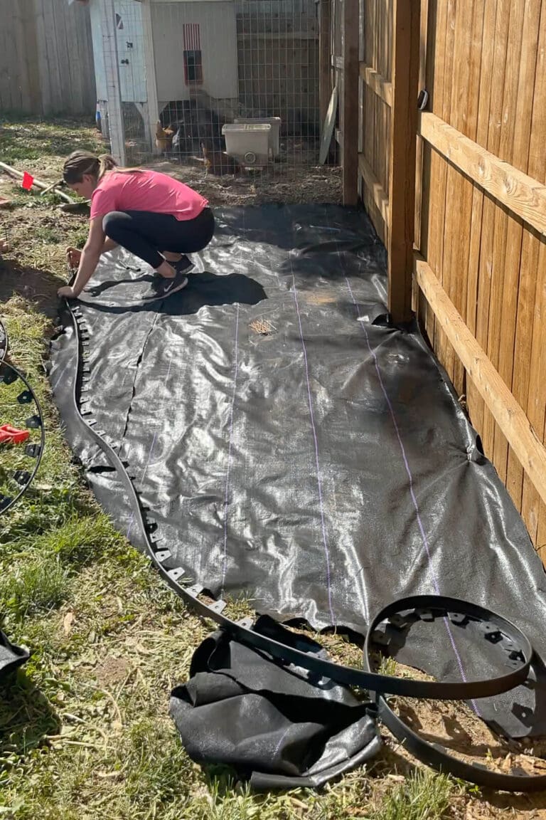 How to Make a Flower Bed Like a Pro | Crystel Montenegro Home