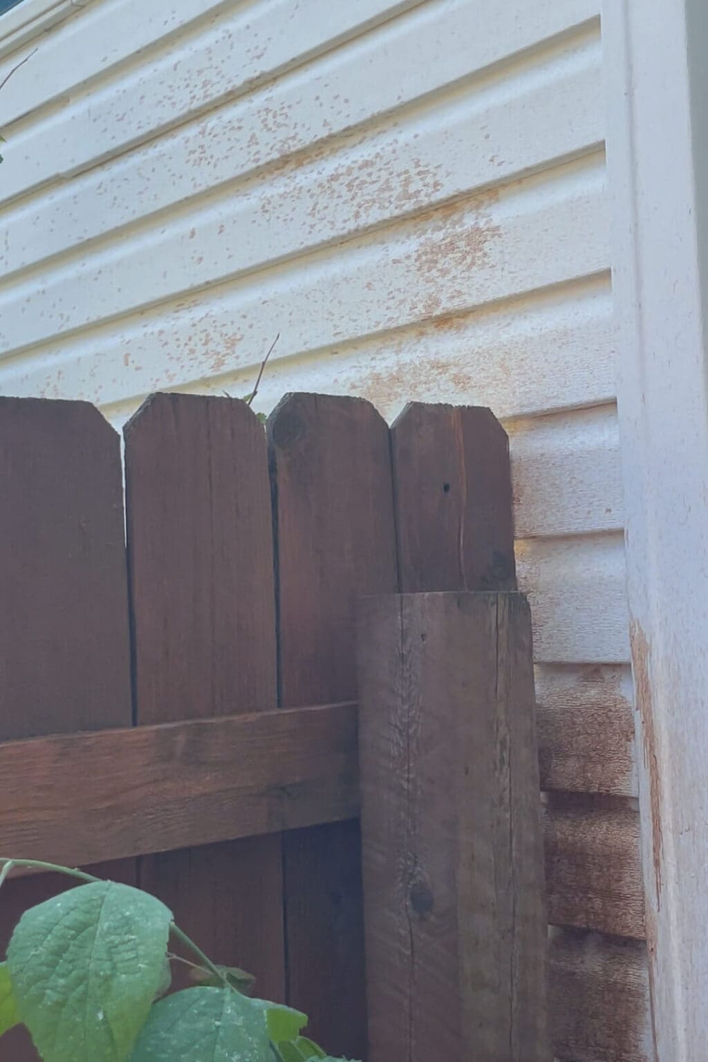Revive Your Old and Weathered Wood Fence | Crystel Montenegro Home