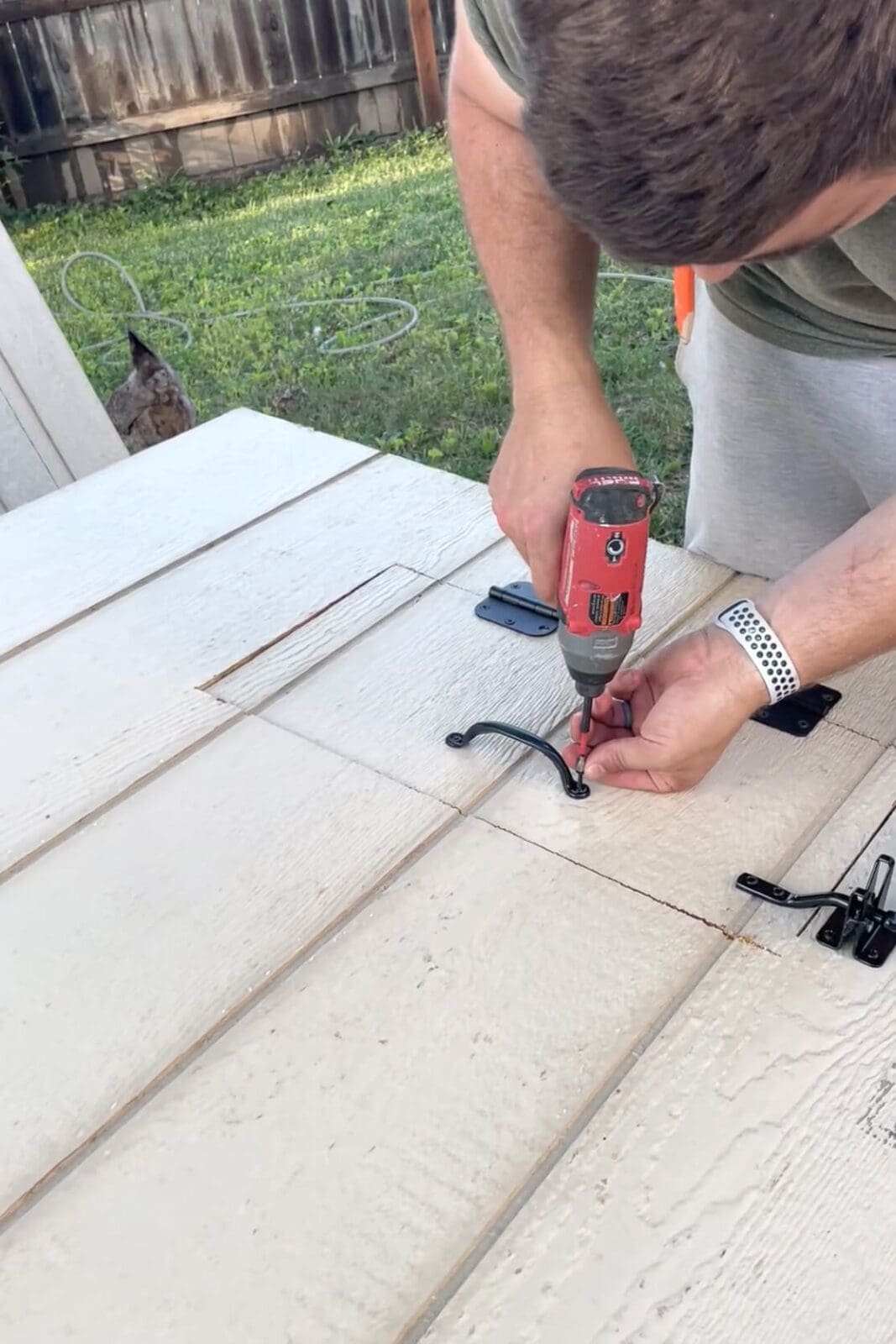 How to Build a Low Cost DIY Chicken Coop | Crystel Montenegro Home