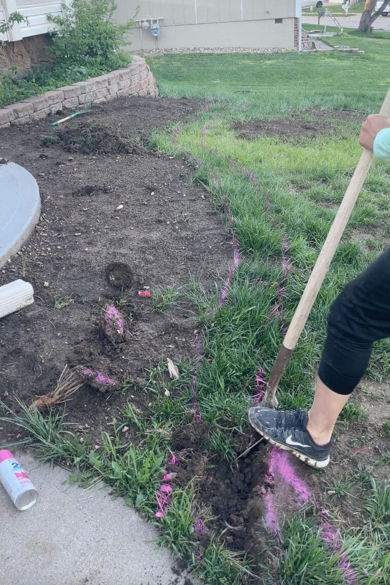 DIY Concrete Curbing in Your Yard | Crystel Montenegro Home