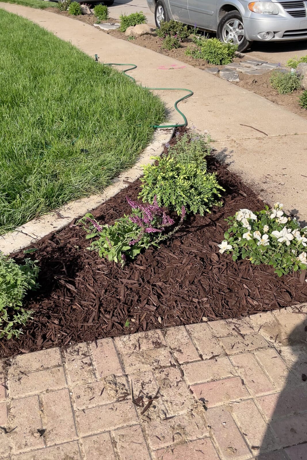 Easy & Low Maintenance Front Yard Landscaping | Crystel Montenegro Home