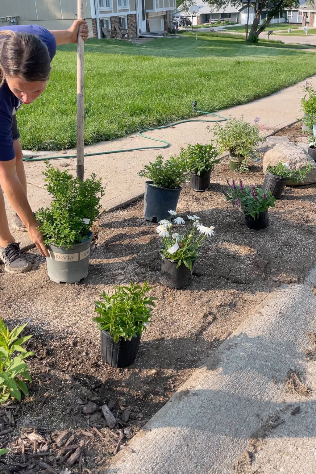 Easy & Low Maintenance Front Yard Landscaping | Crystel Montenegro Home