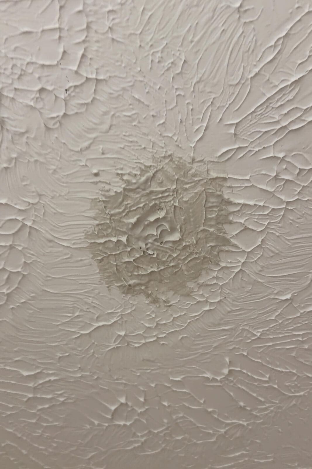 How to Touch Up Ceiling Paint Without Repainting the Whole Thing ...