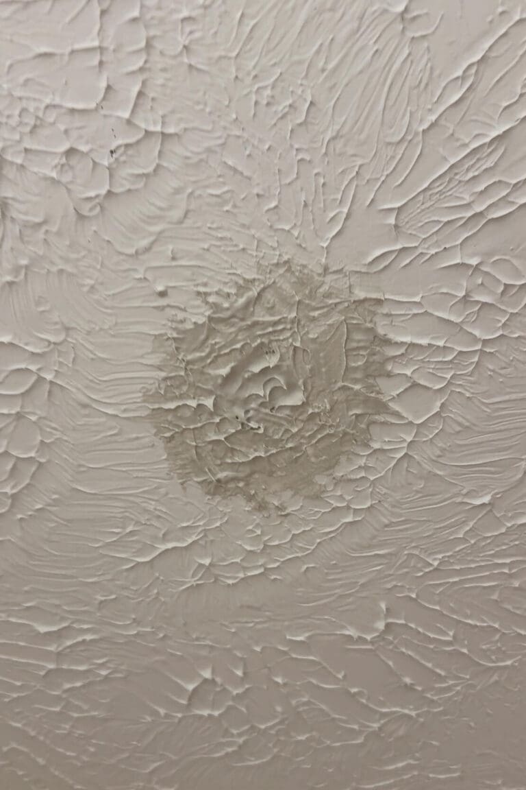 How to Touch Up Ceiling Paint Without Repainting the Whole Thing ...