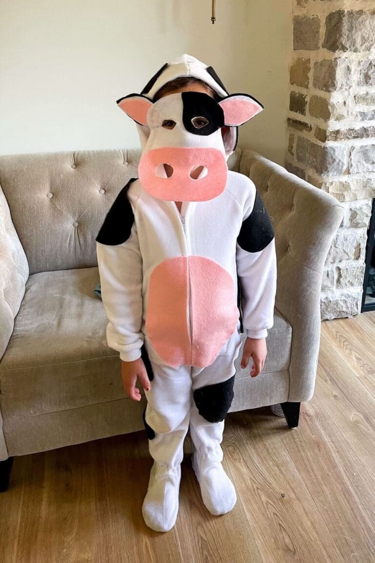 Easy DIY Barnyard Family Halloween Costumes (No-Sew) | Crystel ...