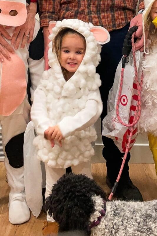 Easy DIY Barnyard Family Halloween Costumes (No-Sew) | Crystel ...