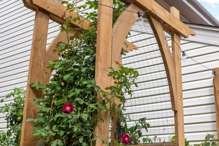 DIY Garden Arbor - How to Build a Beautiful Backyard Arbor | Crystel ...